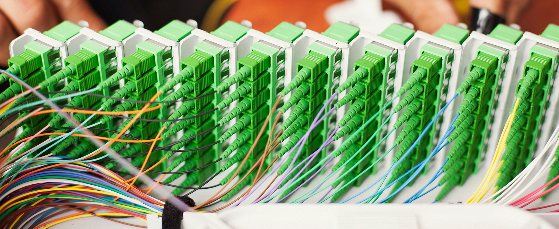 Building Human Talent - BAM Infra Telecom stap-voor-stap naar samen ...