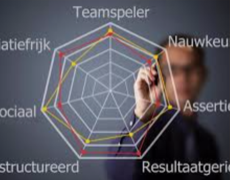 Building Human Talent - Scan: Interesse- en competentietest LINC